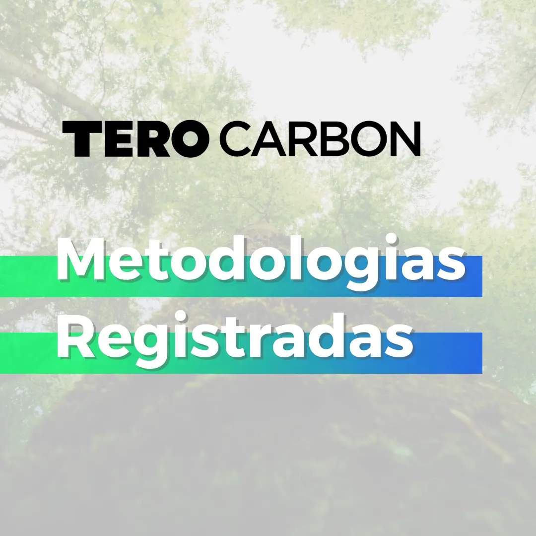 Metodologias - Tero Carbon