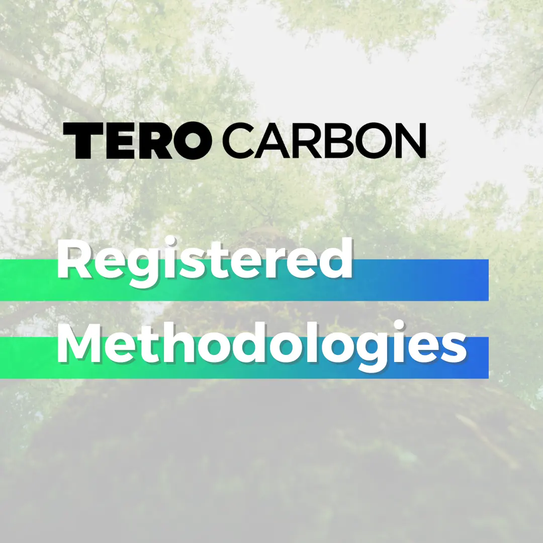 Methodologies - Tero Carbon