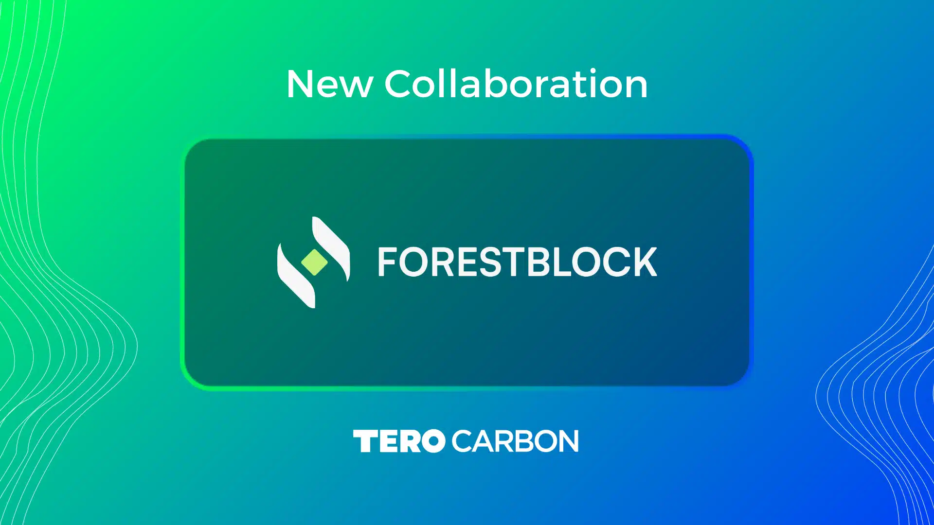 Tero Carbon and Forestblock sign agreement to boost the carbon credit market in Latin America ...