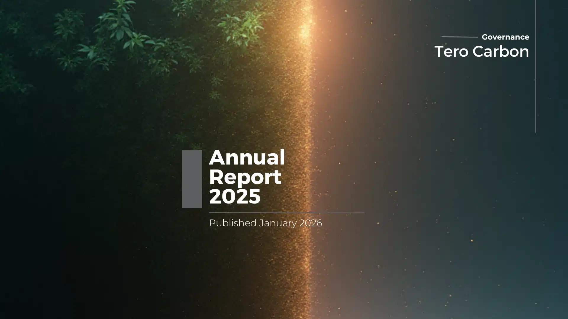 Tero Carbon publica seu Relatório Anual 2025 - Tero Carbon